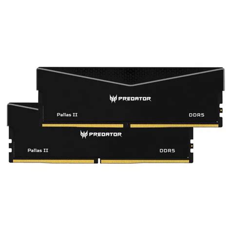 64GB 2x32GB DDR5 6000MHz CL32 Predator Pallas II DDR5 Memory XMP EXPO Crox Development