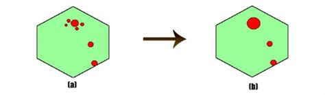 An Example The Generalization Process Download Scientific Diagram