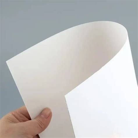 Sbs Paper Board, For Packaging at ₹ 69/kg in New Delhi | ID: 2849764406548