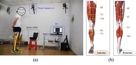 A The Experimental System Consists Of 1 The Vicon System For