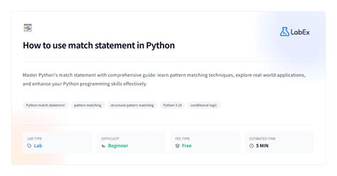 How To Use Match Statement In Python Labex