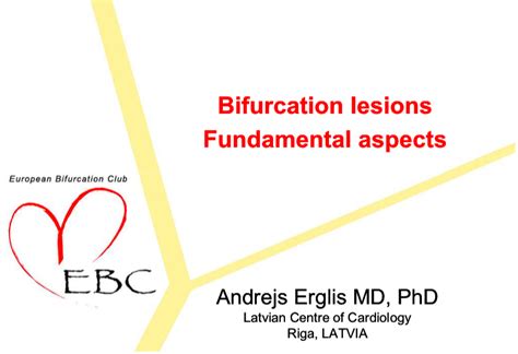 Bifurcation Lesions Fundamental Aspects European Bifurcation Club