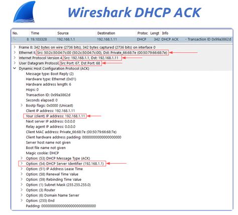 How Dhcp Works Step By Step Guide For Ccna