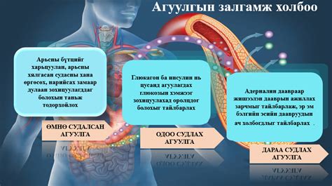 Мэдлээ Цахим контент