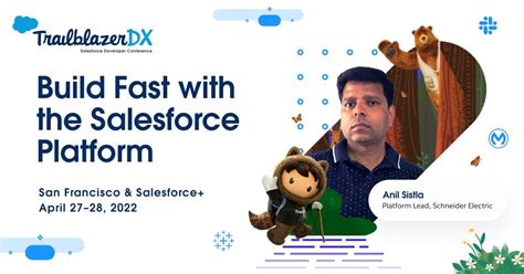 salesforce platform on linkedin lowcode automation customer360