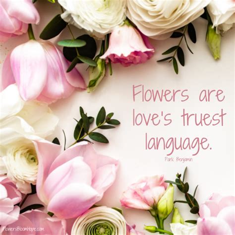 Flowers Quotes Love