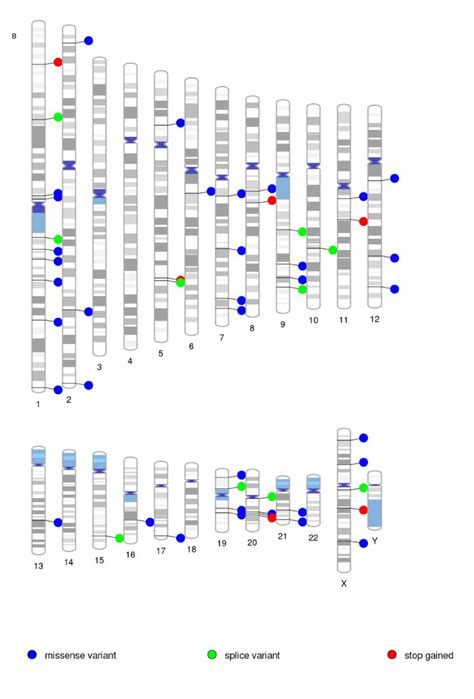 Visualization Of Novel And Functional Variants Across The Genome Tumor