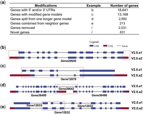 Genome Re Annotation Of The Wild Strawberry Fragaria Vesca Using