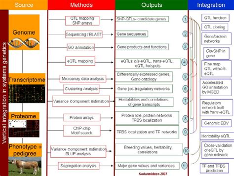 Integrated Genetic Genomic And Transcriptomic Systems Genetics