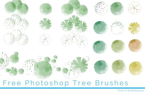 Free Photoshop Tree Brushes Tree Plan Photoshop Free Photoshop Tree