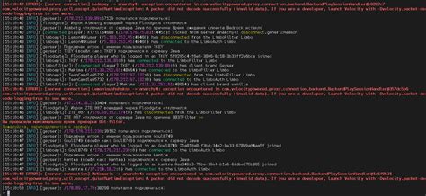 Packet Type PLAYER INFO Type UUID Data Source Viaversion Viabackwards Protocol