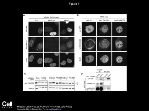 Volume 39 Issue 1 Pages July 2010 Ppt Download