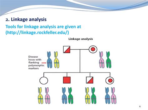 Application Of Bioinformatics Pptx Application Of Bioinformatics Pptx