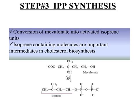 Biosynthesis Of Cholesterol Pptx Chemistry Science