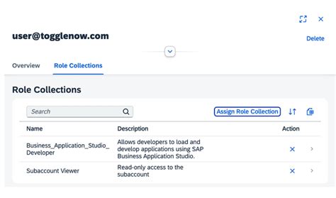 How To Automatically Assign Role Collections In Sap Btp Togglenow