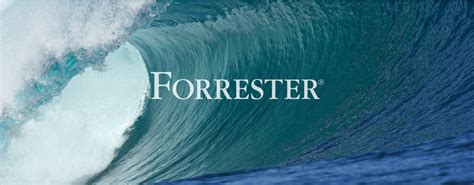 The Forrester Wave Eprocurement Q