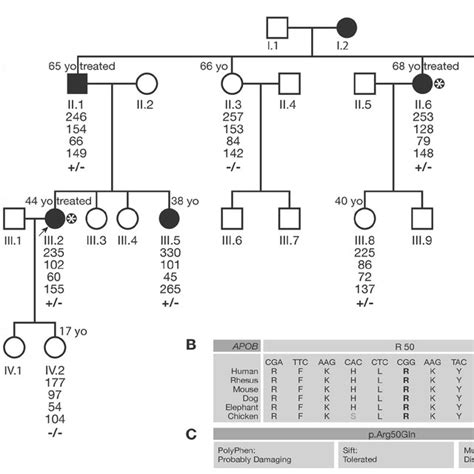 Different Mutations Reported In Apob Causing Hypercholesterolemia Download Scientific Diagram