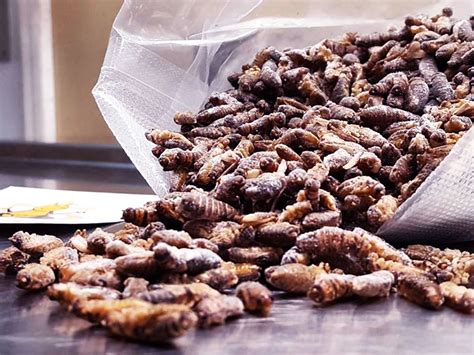 Production Eurocrickets