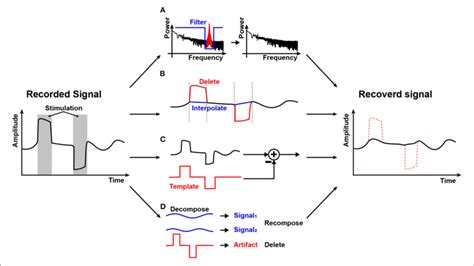 Stimulation Artifact Removal Methods A Spectral Filtering B