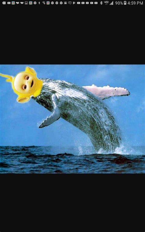 Laa Laas Final Form Slendytubbies Amino Amino