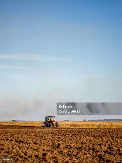 트랙터 쟁기에서 농부는 작물을 종싱에 대한 재배 수염 필드 재배를 준비 농학자에 대한 스톡 사진 및 기타 이미지 농학자 트랙터 흙 Istock