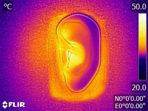 Sony Mdr Zx Nc Review Rtings Com