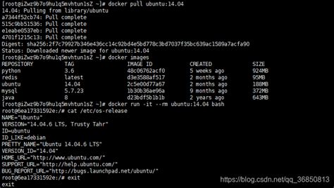 docker如何退出就删除容器（示例） docker run 退出删除 csdn博客