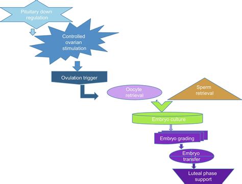 Assisted Reproductive Techniques Clinical Tree