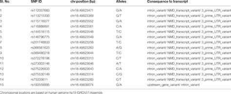 List Of Dbsnps Identified Using Dna Re Sequencing Of Myo5b Regions