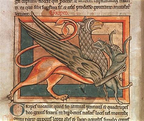 The Griffin As Depicted In The Aberdeen Bestiary C 12th Century Ce Mythical Monsters