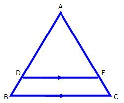 Triangle Proportionality Theorem Overview Proofs Examples Lesson Study Com