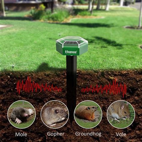 Do Sonic Gopher Repellents Work Thanos Home Do Sonic Gopher Repellents Work Thanos Home