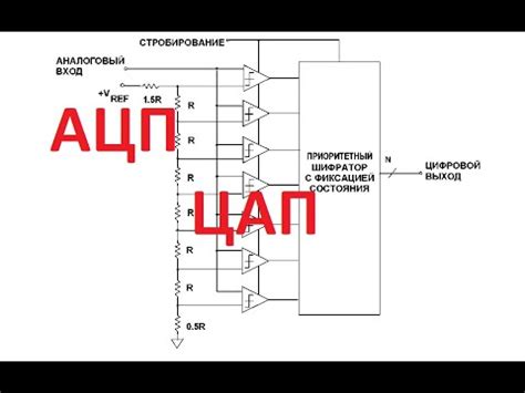 Аналогово-цифровое преобразование ЛЕКЦИЯ - YouTube