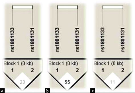 Ld Plot For Methylenetetrahydrofolate Reductase Gene Polymorphisms A