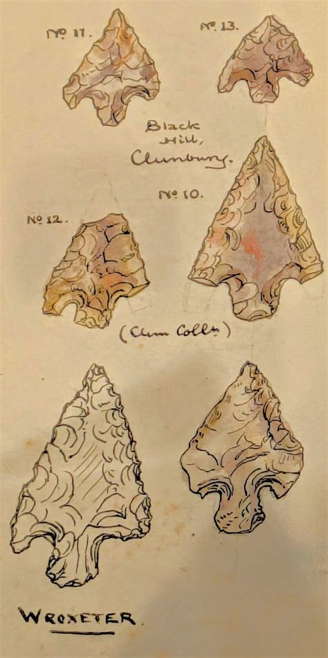 Indexing Archaeology An Exhibition Celebrating Lily Chitty