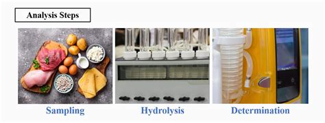 Amino Acid Derivatization Analysis Service Boc Sciences