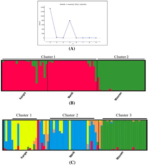 Bayesian Model Of Population Genetic Structure Showing 2 Major Download Scientific Diagram