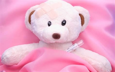 [100 ] Pink Teddy Bear Wallpapers