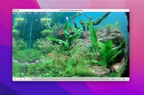 Planted Aquarium — Automated Time Lapse Amith Gcs Blog