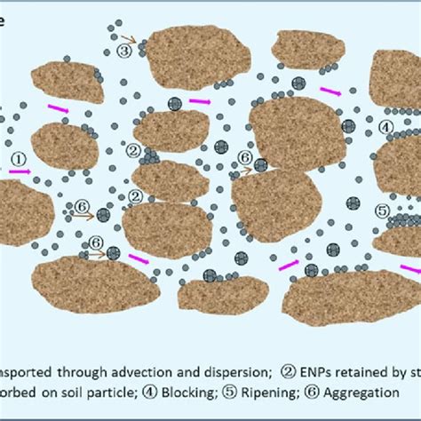 Pdf Transport Of Engineered Nanoparticles In Porous Media And Its Enhancement For Remediation