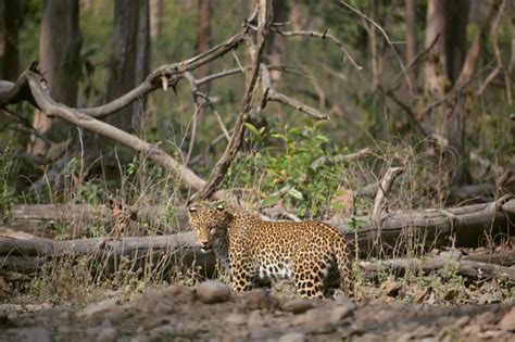 Pankaj Kumar Pankajk Edge • Instagram Photos And Videos