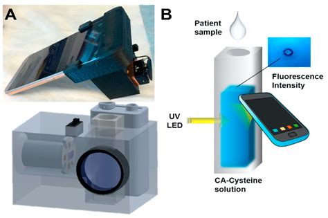 Fluorescence Based Portable Assays For Detection Of Biological And Chemical Analytes