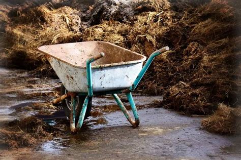 Difference Between Manure And Fertilizers A Full Guide