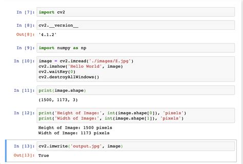 OpenCV Getting Started Vines Log