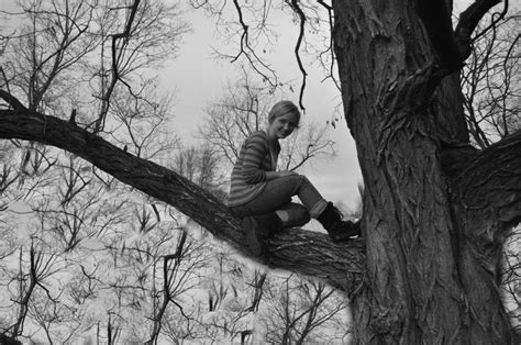 Tree Climbing Photo Scenes Couple Photos