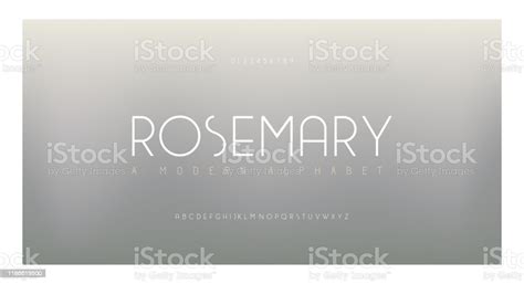 도시 간단한 알파벳 글꼴입니다 우아한 레터링 패션 현대 디자인입니다 타이포그래피 최소한의 스타일 대문자 및 숫자 글꼴 집합입니다 벡터 일러스트레이션 컴퓨터 글자에 대한 스톡