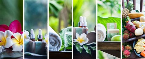 유기농 화장품 천연 과일 오일 개념의 스파 피부 관리 생태 유기농 천연 화장품 음식 재료에 대한 스톡 사진 및 기타 이미지 음식 재료 자연 자연 조건 Istock