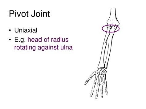 Pivot Joint Definition For Kid At Jason Collins Blog