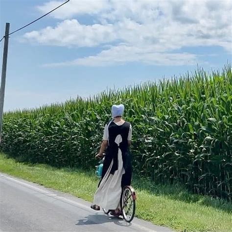 Pennsylvania Amish History And Beliefs Discover Lancaster