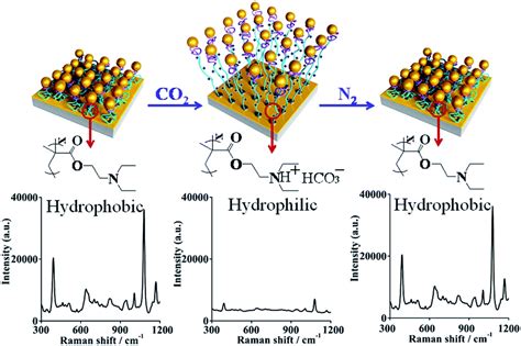 A Co 2 Tunable Plasmonic Nanosensor Based On The Interfacial Assembly Of Gold Nanoparticles On